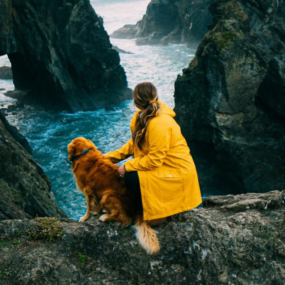 Mischief & Magic Tea Towels (cotton, poly) – Life Is Golden