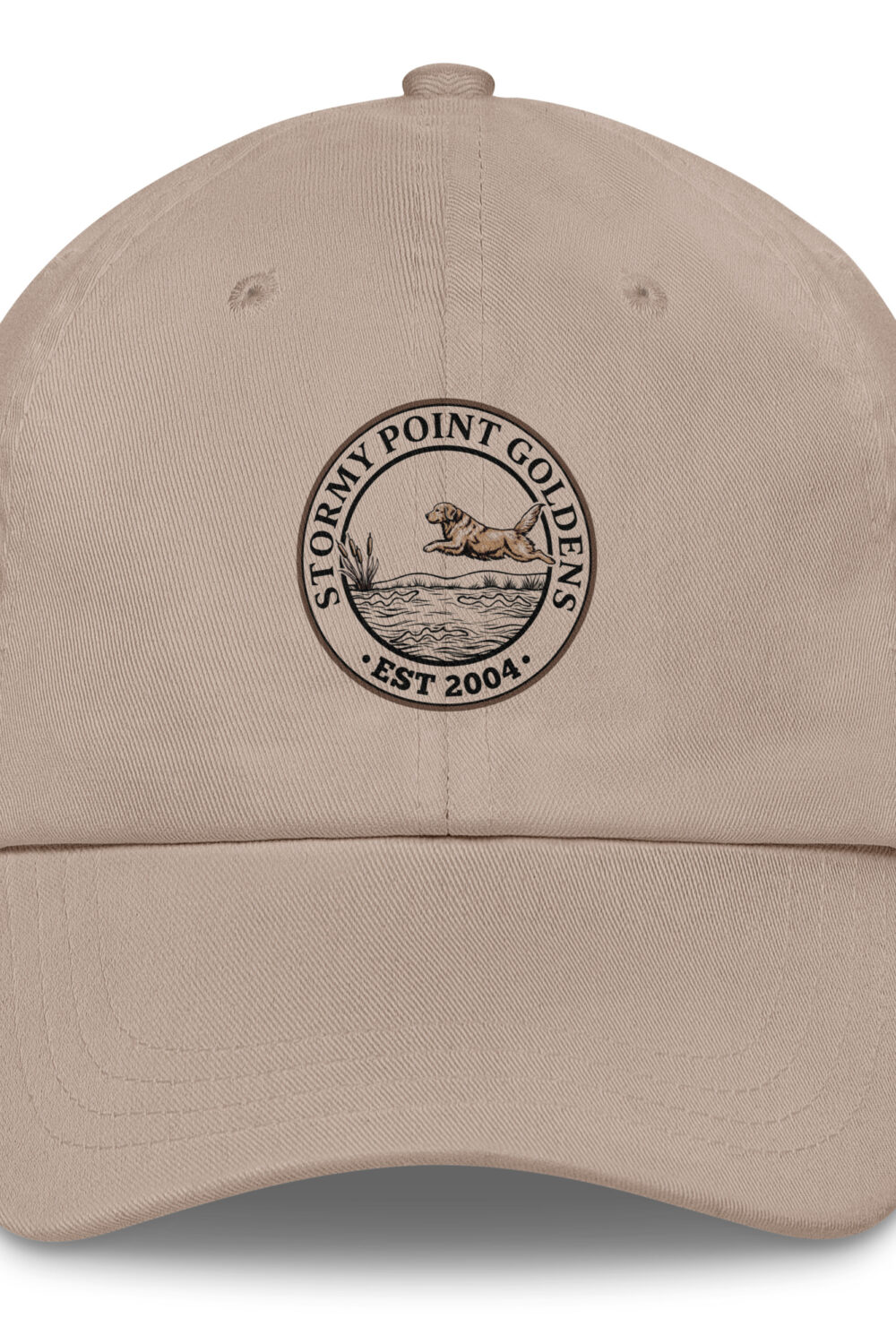 Stormy Point Dad hat – Life Is Golden